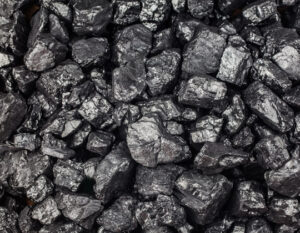The Rise of Bio-Coal – Can It Replace Traditional Fossil Fuels ...